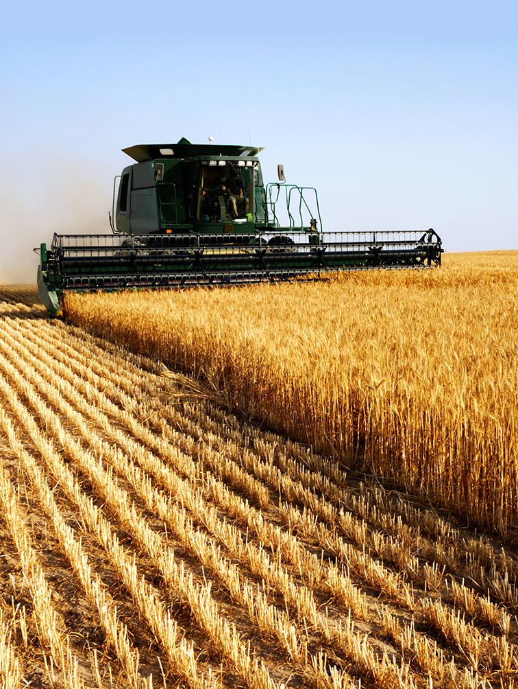 Nelson Global Products