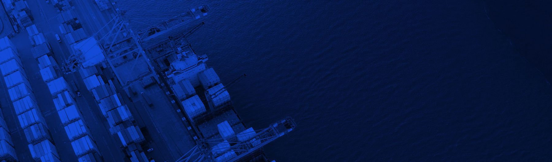 Company | Nelson Global